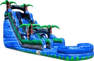 Water Slides for Rent | Inflatable Waterslide Rentals | Best Party Slides